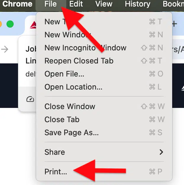 New Delta Application Instructions Have Not Submitted - CheckedAndSet, LLC